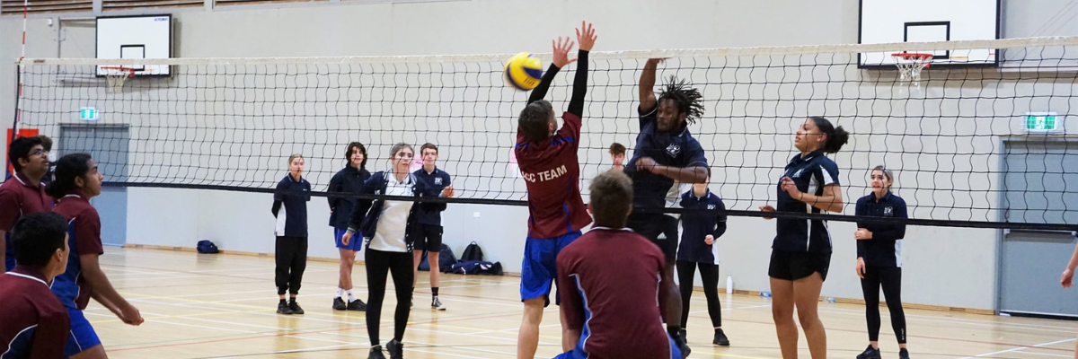 Home New - Volleyball WA