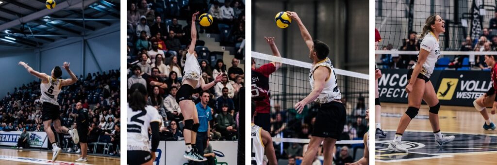 Perth Steel Announce Teams for 2025 Australian Volleyball Super League ...